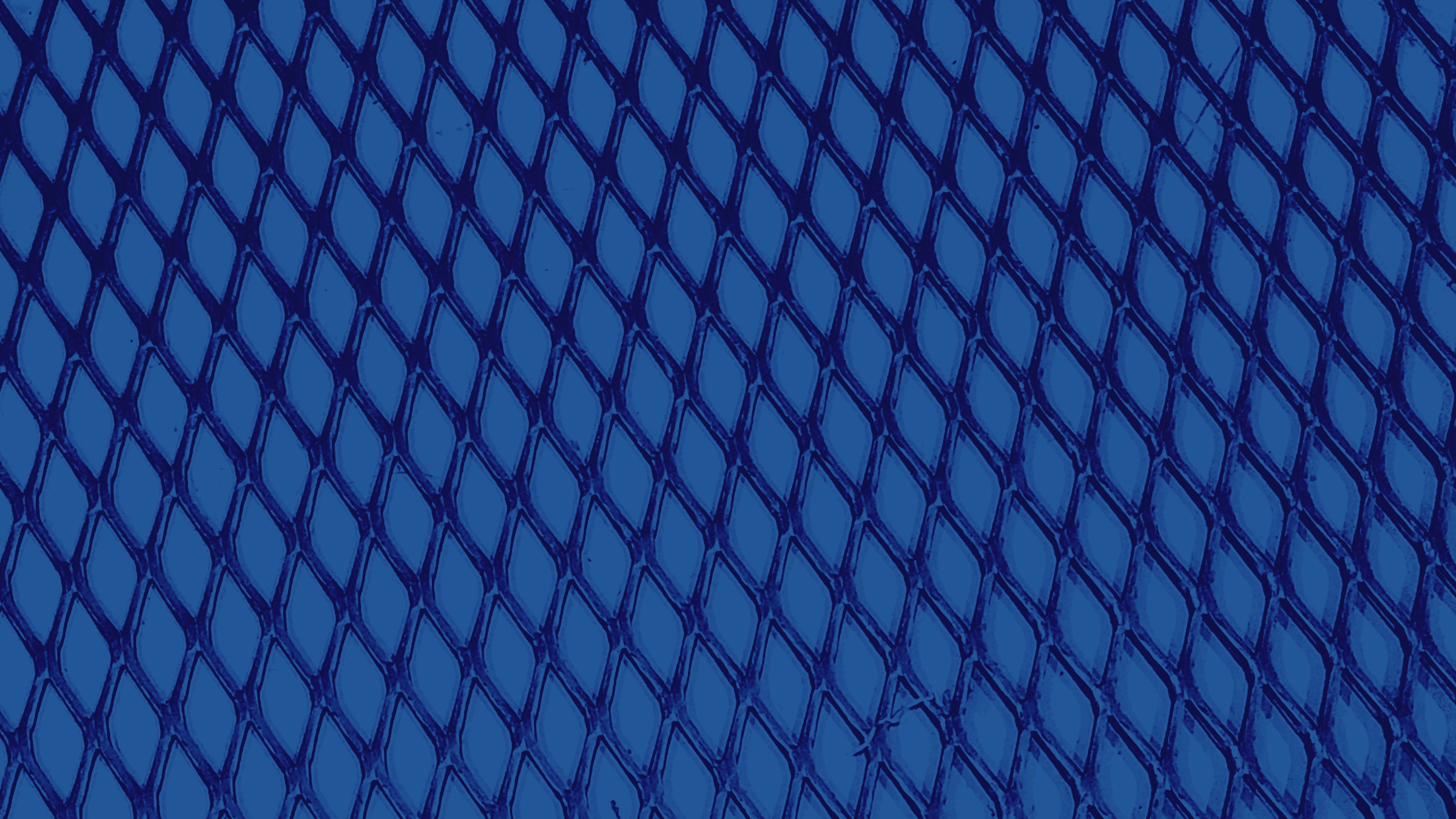 DA blue Mesh Light – DEFINITIVE ARMS